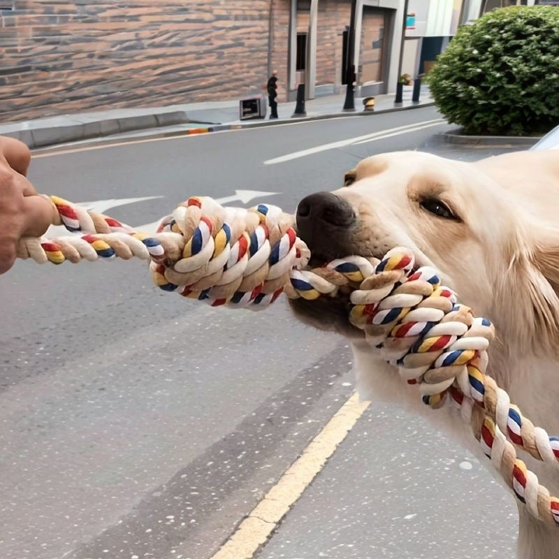 Rope Knot Toy – thepaws